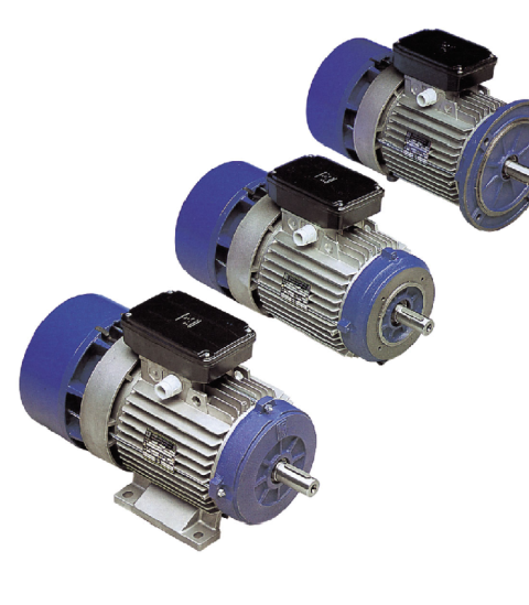 Motor Technologies trading as BROOK MTL - Three phase Motors